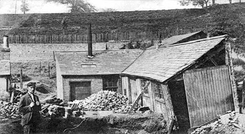 Cheshire image bank