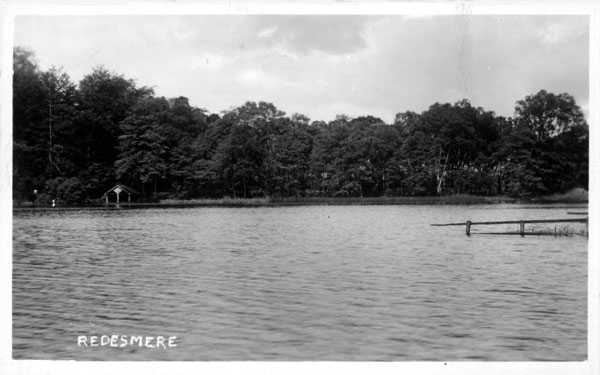 Cheshire image bank