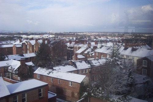 Cheshire image bank